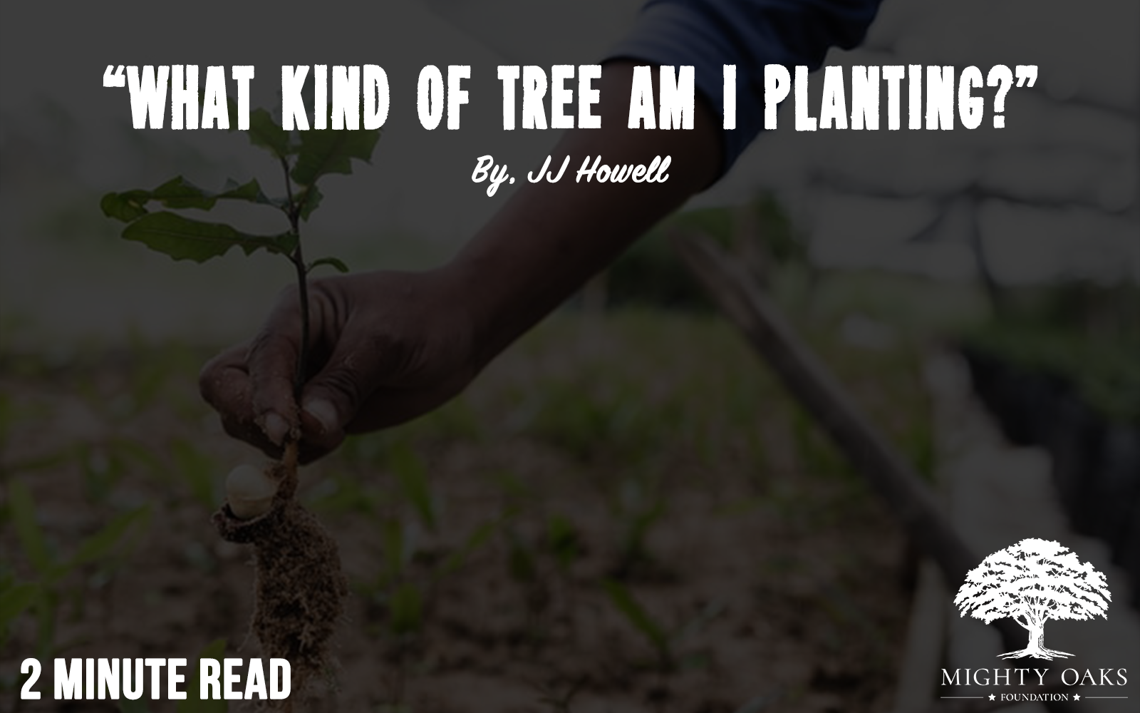 “What Kind of Tree am I Planting?” | Mighty Oaks Foundation