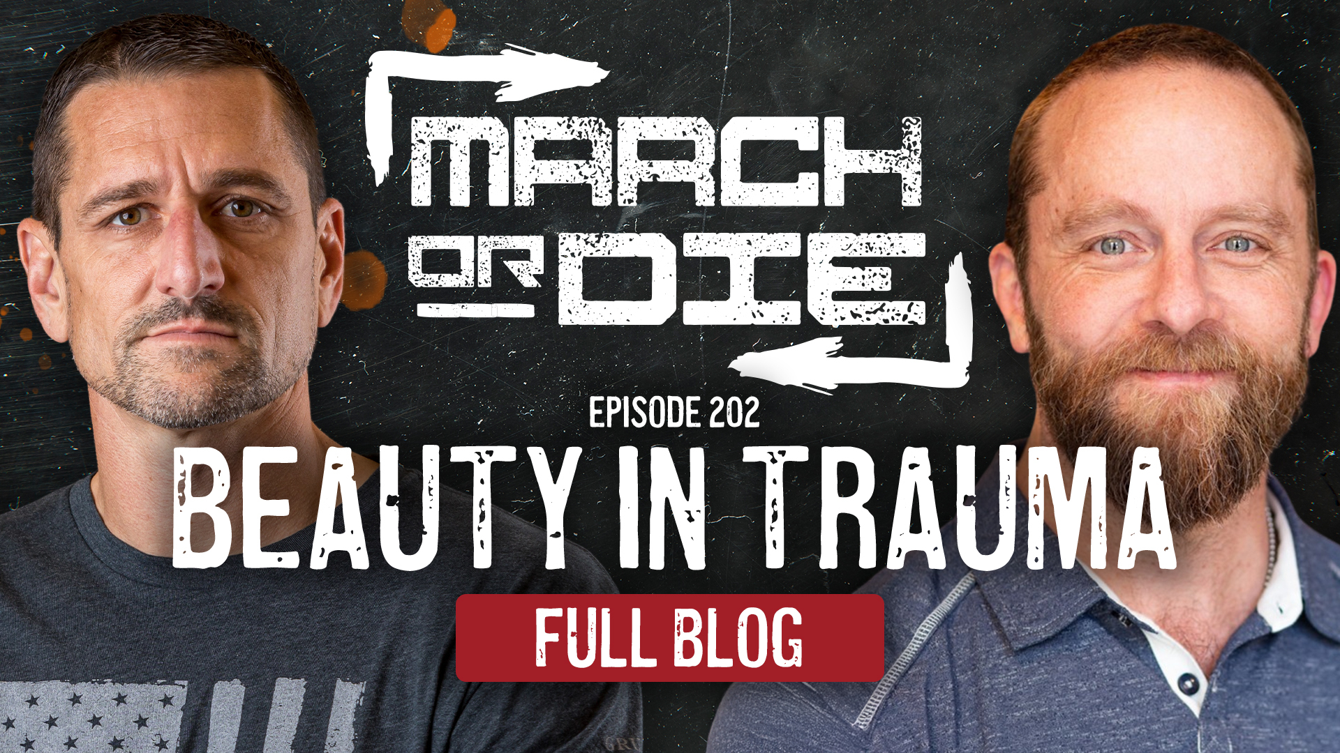 Finding Beauty in Life’s Struggles: A Conversation with Greg Drobny ...